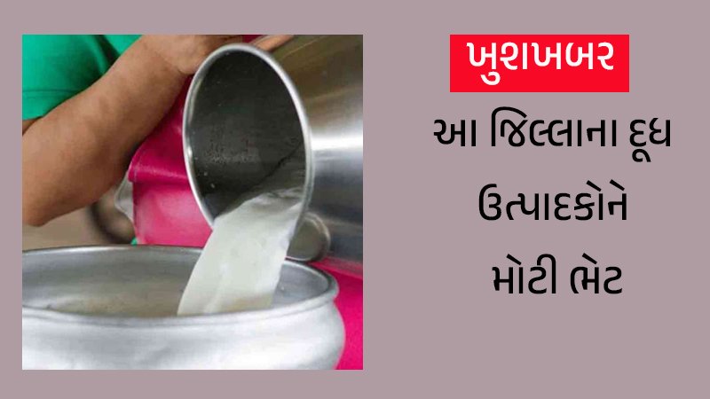 અઢી લાખ પશુપાલકોને શિવરાત્રી ફળી: સુમુલ ડેરીએ પ્રતિ કિલો ફેટના ભાવમાં ...