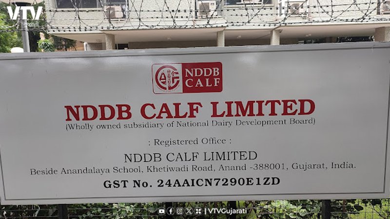 ગુજરાતની લેબે તિરૂપતિ પ્રસાદમાં પશુ ચરબીનો કર્યો ભાંડફોડ, જાણૉ તેની કહાની