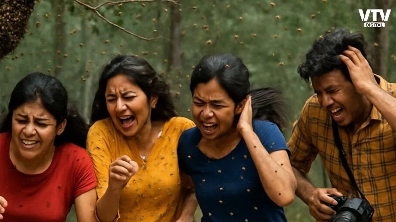જંગલમાં રિલ બનાવી રહેલી 4 છોકરીઓ સાથે બન્યું હૈયું ચીરી નાખતું ...