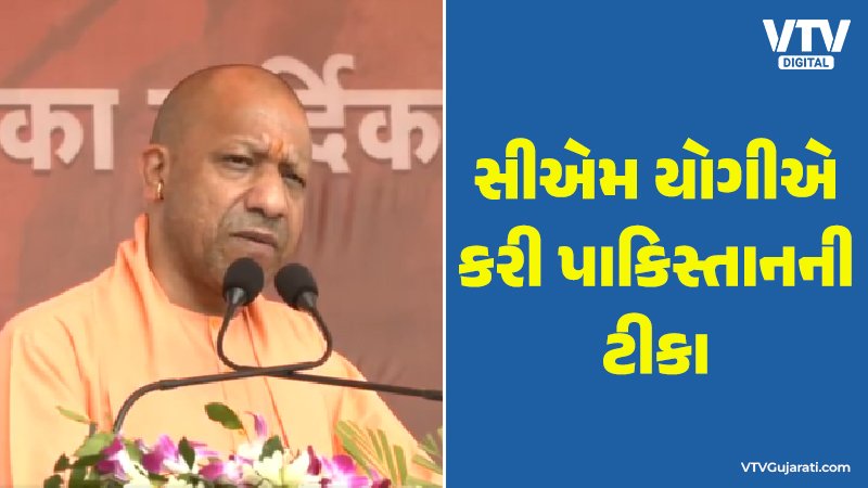 'પોતાના અસ્તિત્વ માટે સંઘર્ષ કરશે...' પાકિસ્તાનની નાપાક હરકતો પર ગરજ્યા ...