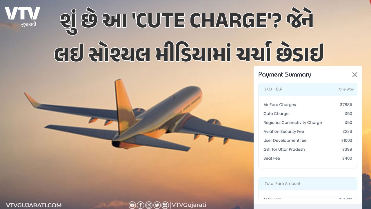 હવે ક્યૂટ લાગવાનો પણ ચાર્જ ચૂકવવો પડશે? Indigo એરલાઇન્સને કરવી પડી ...