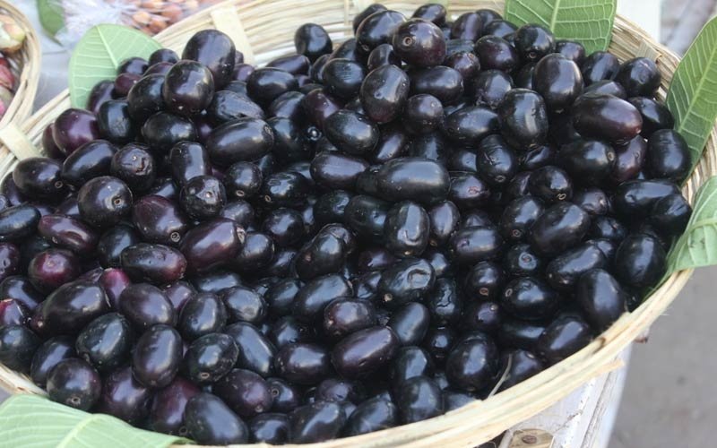 amazing Health Benefits and Uses of Jamun Fruit