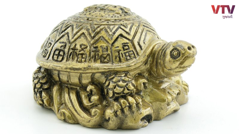 કાચબાની આ વીંટી રંકને પણ બનાવી શકે છે રાજા, પહેરતા પહેલાં ક્યારેય ન ...