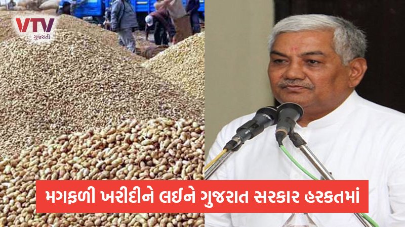 મગફળીની ખરીદીને લઇને ખેડૂતો માટે આવી શકે છે સારા સમાચાર, કૃષિમંત્રીની ...