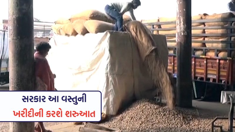 આવતીકાલથી સરકાર આ વસ્તુની ખરીદીની કરશે શરુઆત, ખેડૂતોને મળશે રાહત ...