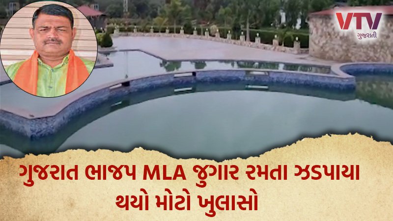 હાલોલમાં ભાજપ MLA જુગાર રમતા ઝડપાયા, આરોપી સાત મહિલામાંથી ચાર વિશે થયો ...