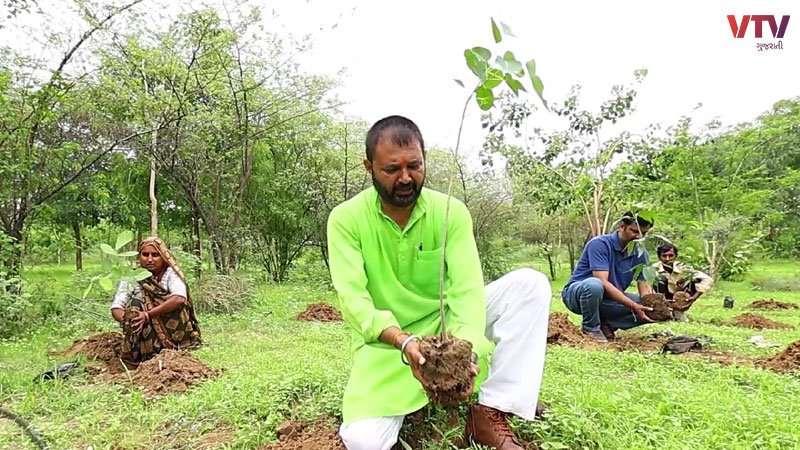 કોણ છે 8 લાખથી વધુ વૃક્ષોનું વાવેતર કરનાર નિલેશ રાજગોર, જેમને ગુજરાત ...