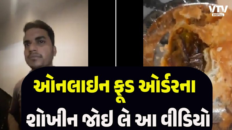 insect in samosa Video: સ્વાદ રસિકો સાવધાન! ઓનલાઇન ઓર્ડરના સમોસામાંથી ...