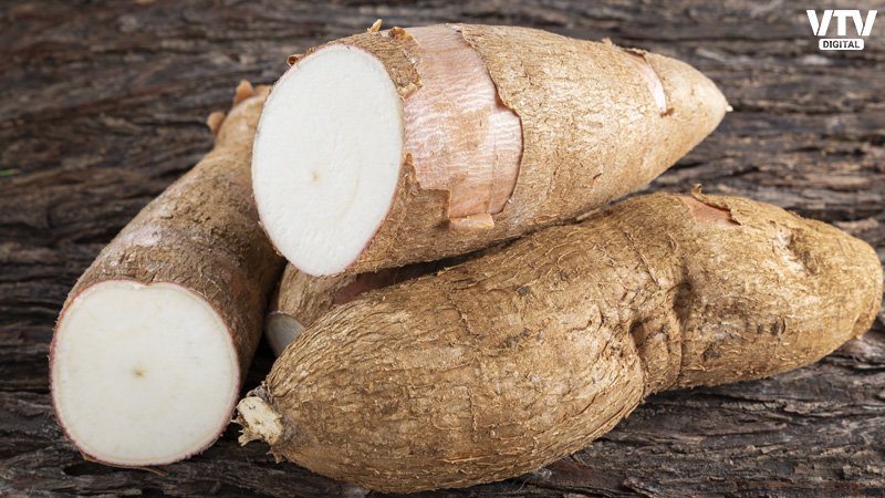 Benefits of Taro Root: હાર્ટ એટેકનો સપનેય ભય નહીં રહે! બસ આજથી જ આ ...